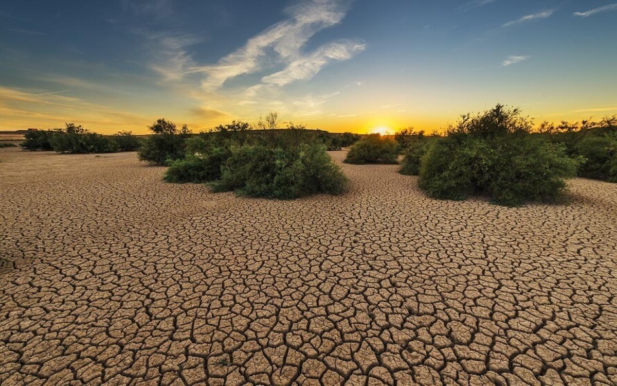 Iraq's Growing Desertification Problem | Planetary Security Initiative