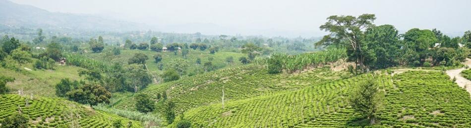 Environmental Activism for Wildlife Protection in Uganda | Planetary ...