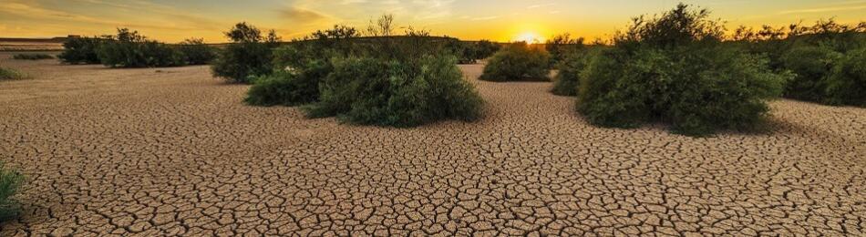 Iraq's Growing Desertification Problem | Planetary Security Initiative