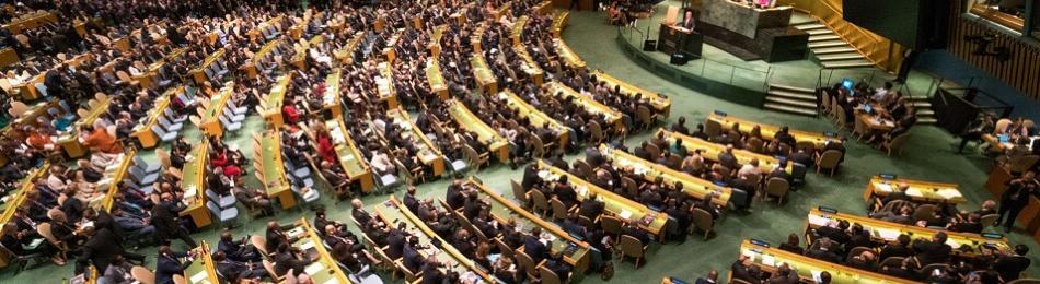 First-ever UN Food Systems Summit | Planetary Security Initiative