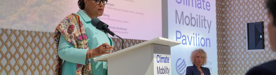Raising ambition and accelerating delivery of climate finance ...